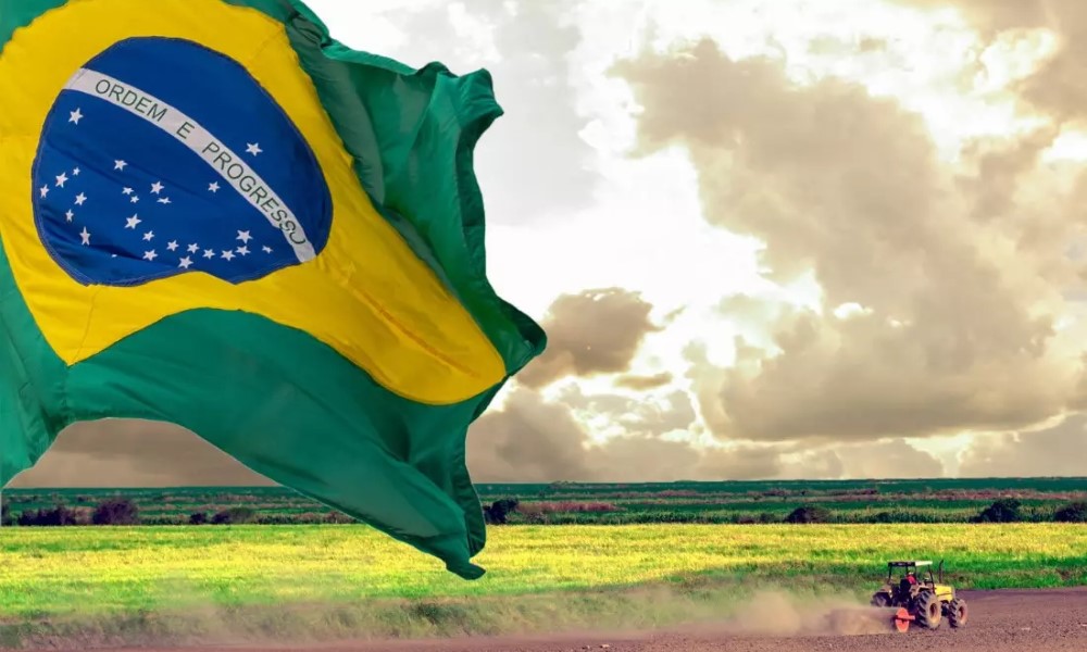 Agro do Brasil opera com baixo apoio estatal em relação a outros países ...