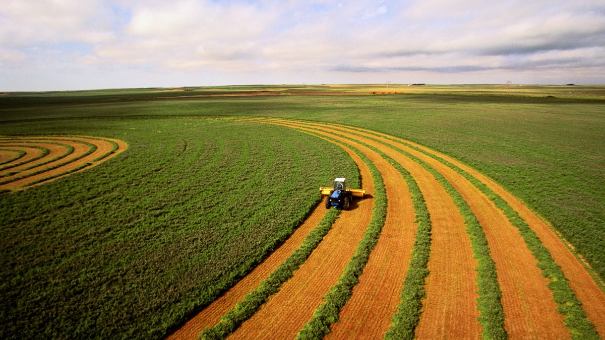 O agro de São Paulo é gigante - Visão Agro - A melhor Visão do Agronégócio