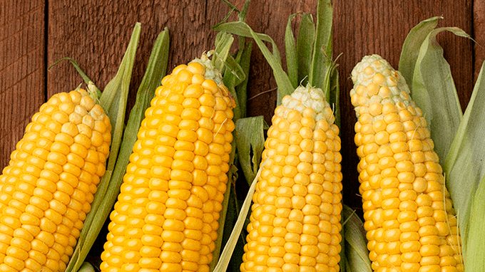 Confira como está o milho no Brasil: MAR/23 - Visão Agro - A melhor ...