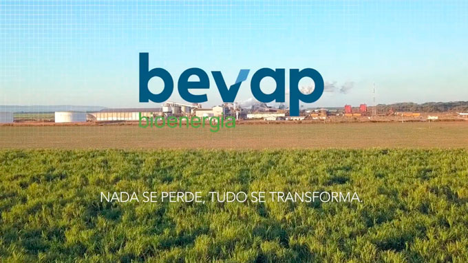 Bevap Bioenergia avança em estratégias de ESG - Visão Agro - A melhor ...