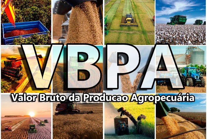 VBP: Resultado final de 2022 mostra que pecuária representa 51% da ...