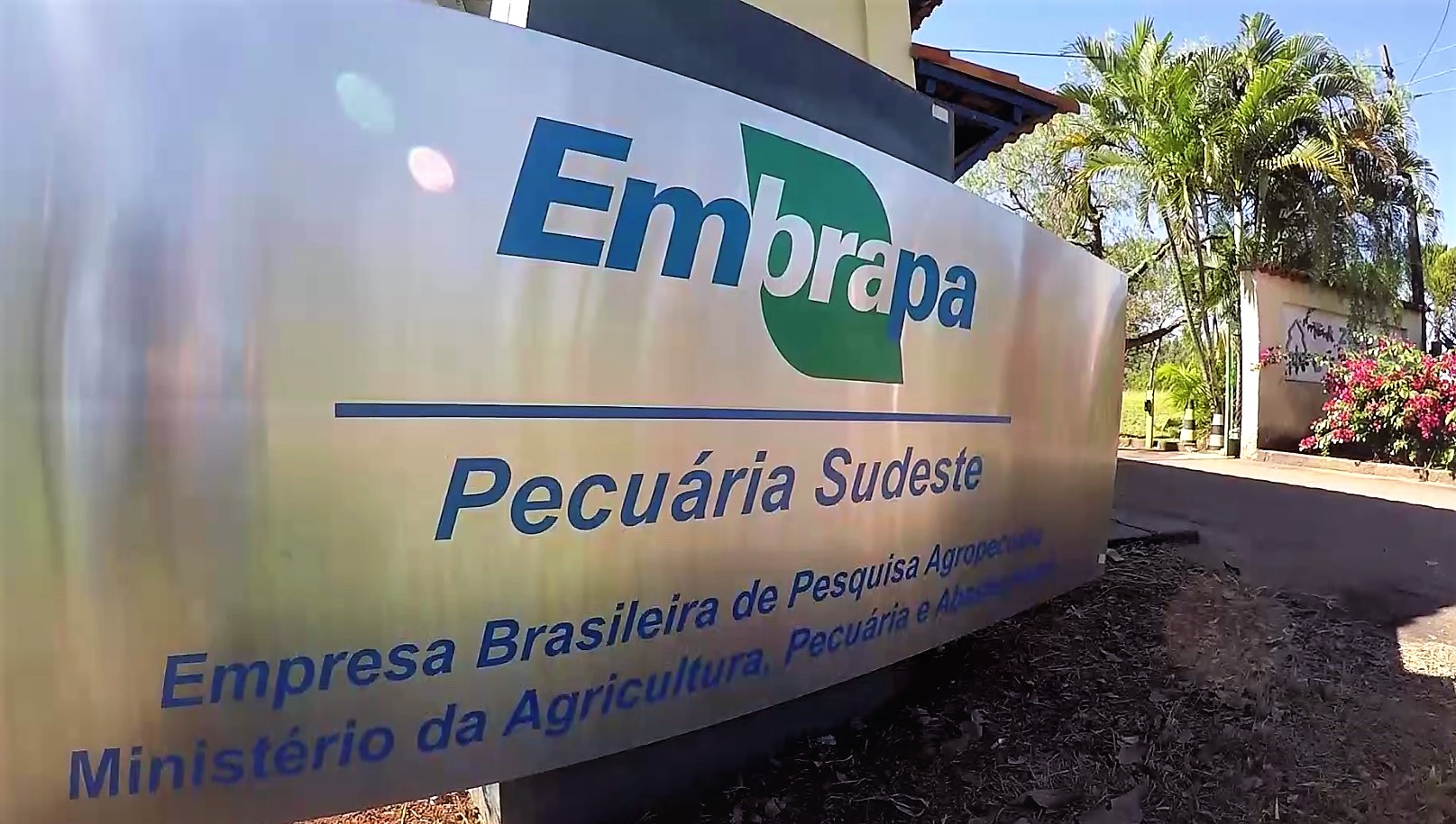 Embrapa lidera participação do Brasil na Cúpula de Ciência da ONU ...