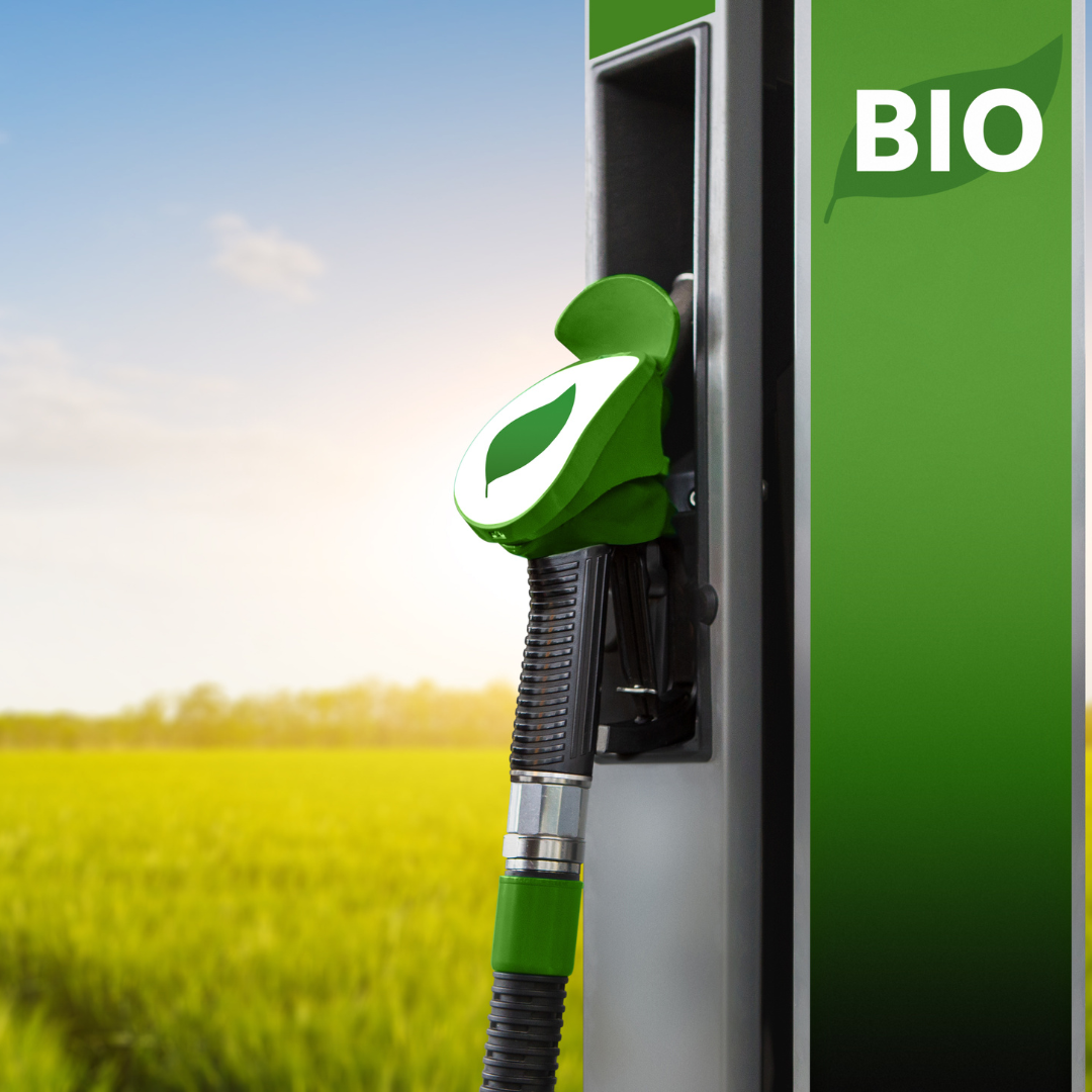 Etanol, biodiesel, SAF: qual a importância dos biocombustíveis para a ...