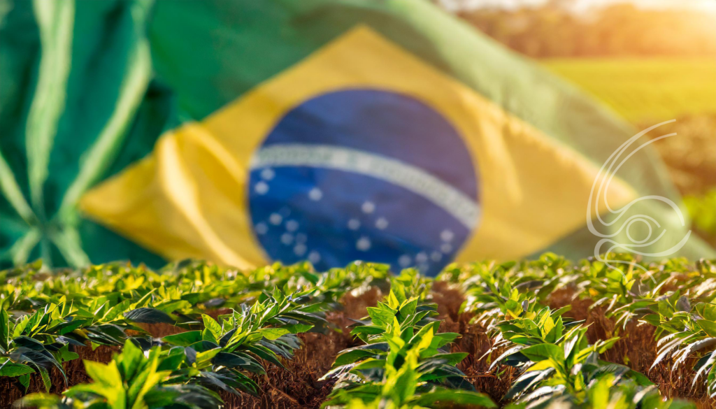 O agro como pilar da economia brasileira - Visão Agro - A melhor Visão ...