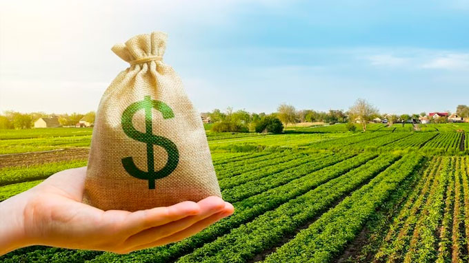 CNA pede R$ 594 bilhões para Plano Safra 2025/26, com aumento do seguro ...